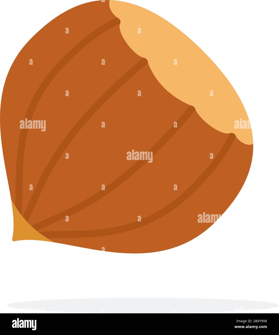 One frond Cut Out Stock Images & Pictures - Alamy