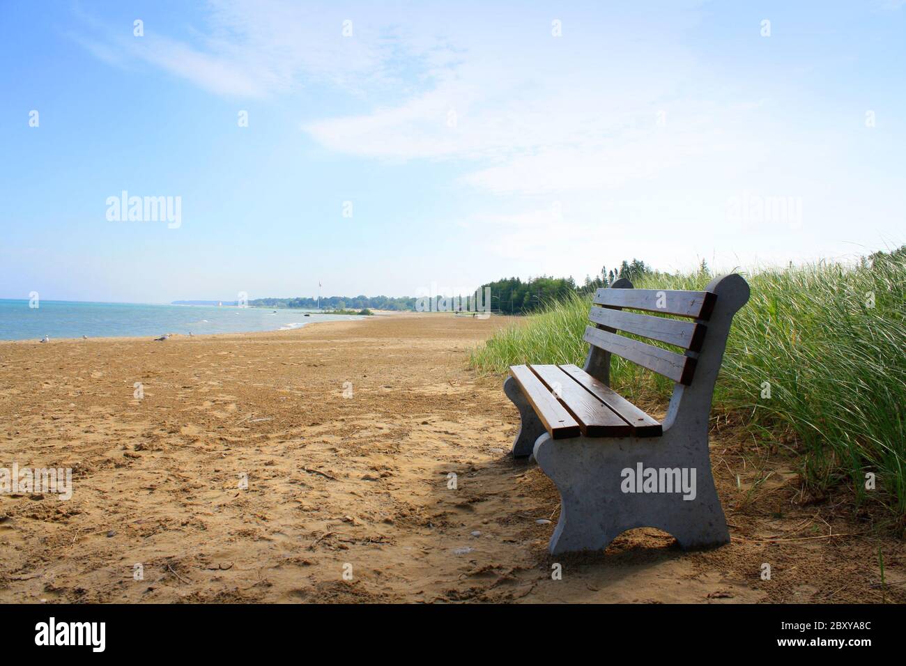 bench on beach Stock Photo - Alamy