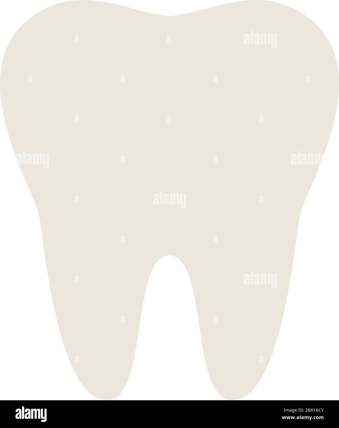 Whole molar vector icon flat isolated Stock Vector Image & Art - Alamy