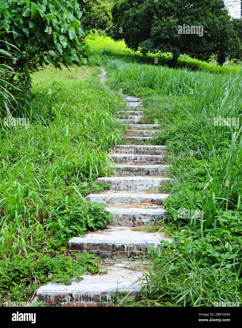 path go up mountain Stock Photo - Alamy