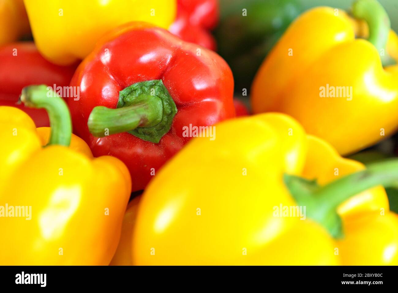 Bell pepper mix Stock Photo - Alamy