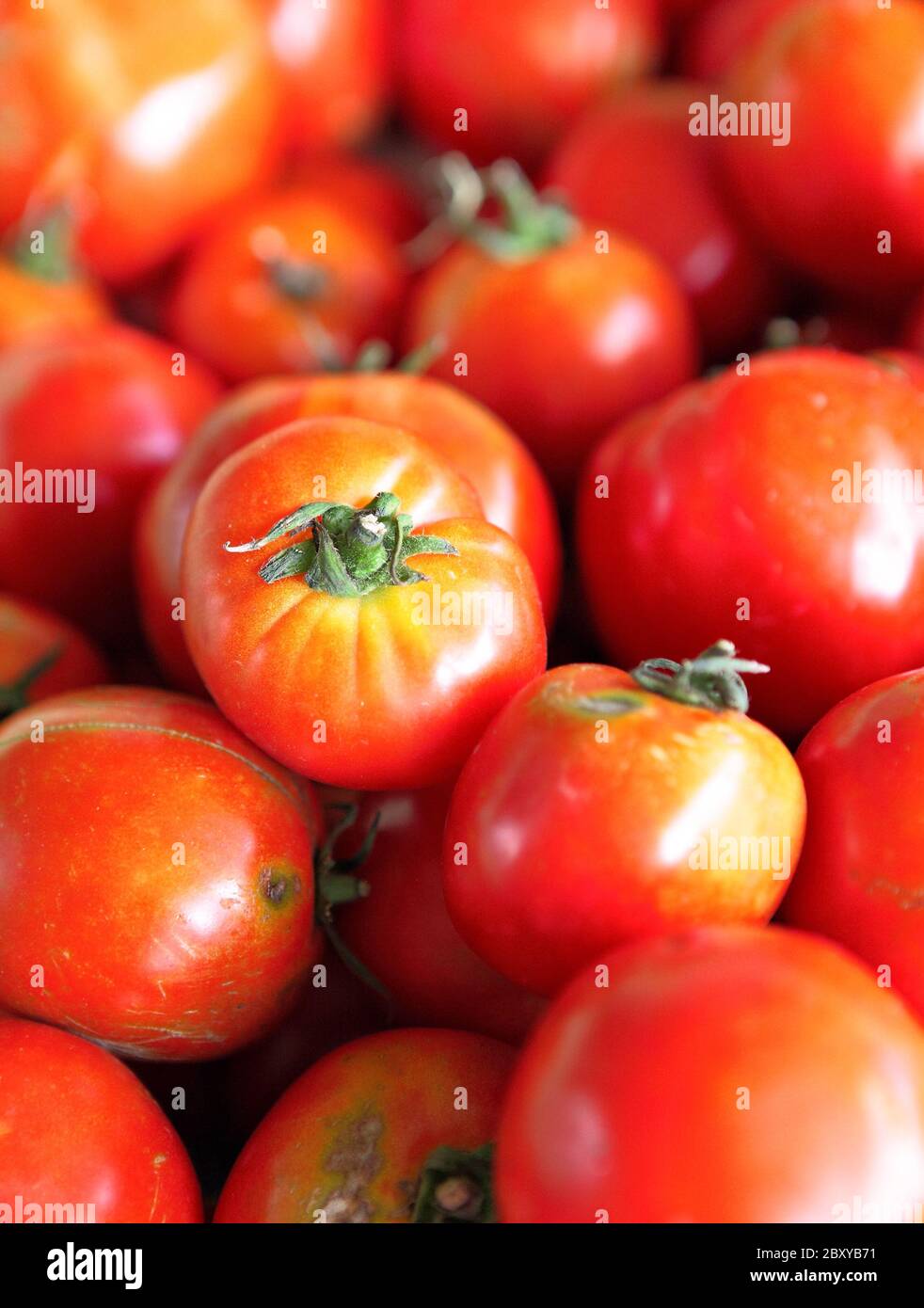 organic tomato in market Stock Photo - Alamy