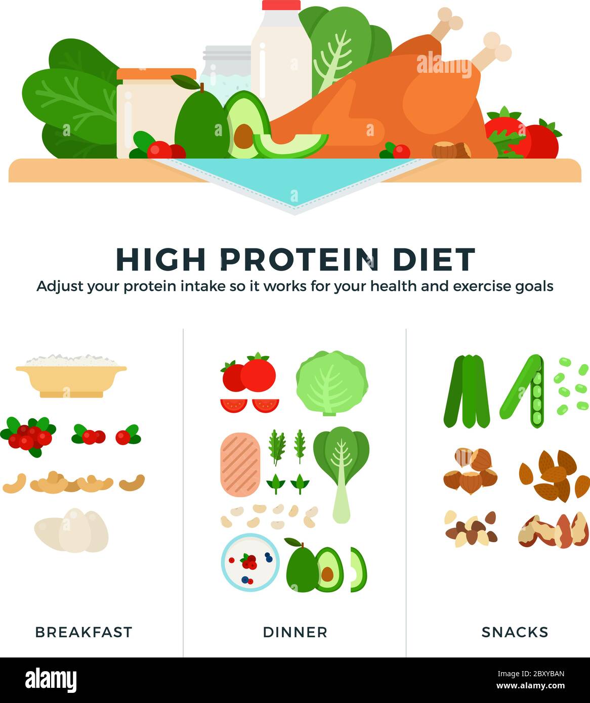 High protein diet vector illustrations in flat design. Foods containing ...