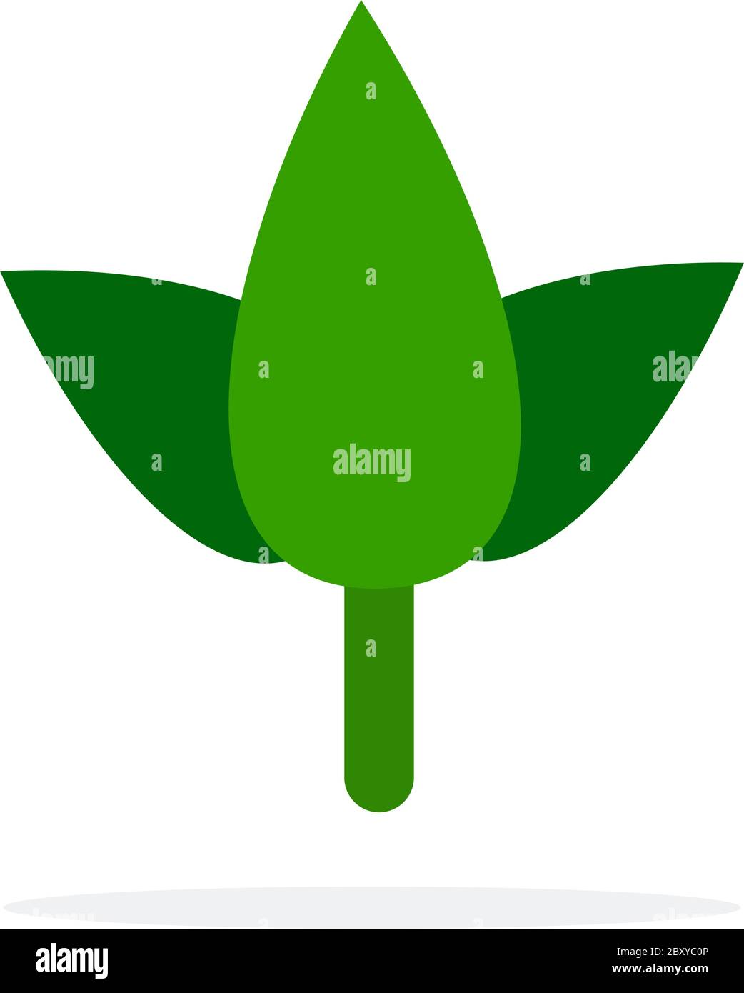 Fresh aromatic green mint Stock Vector Images - Alamy