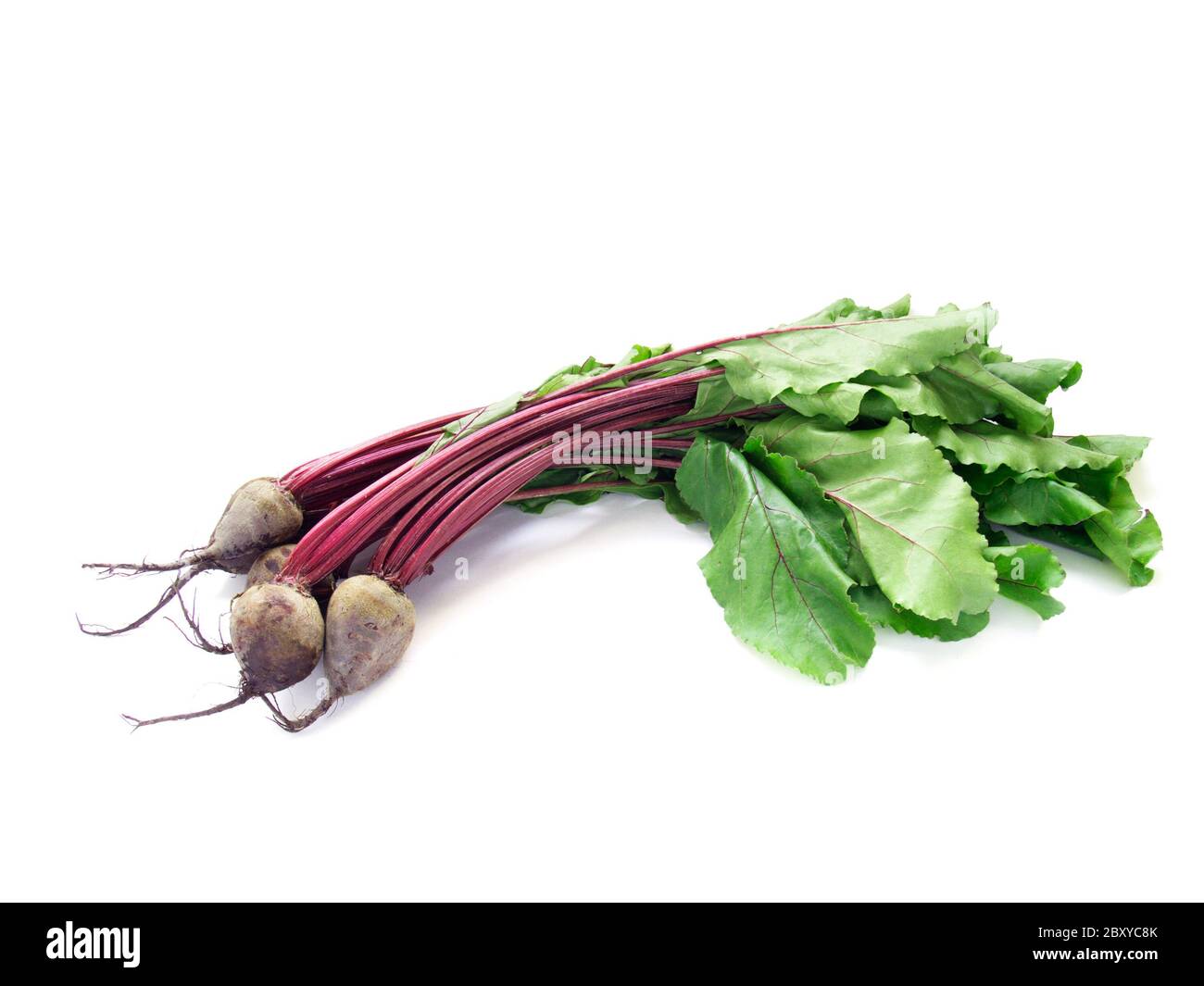 Beetroot stems hi-res stock photography and images - Alamy