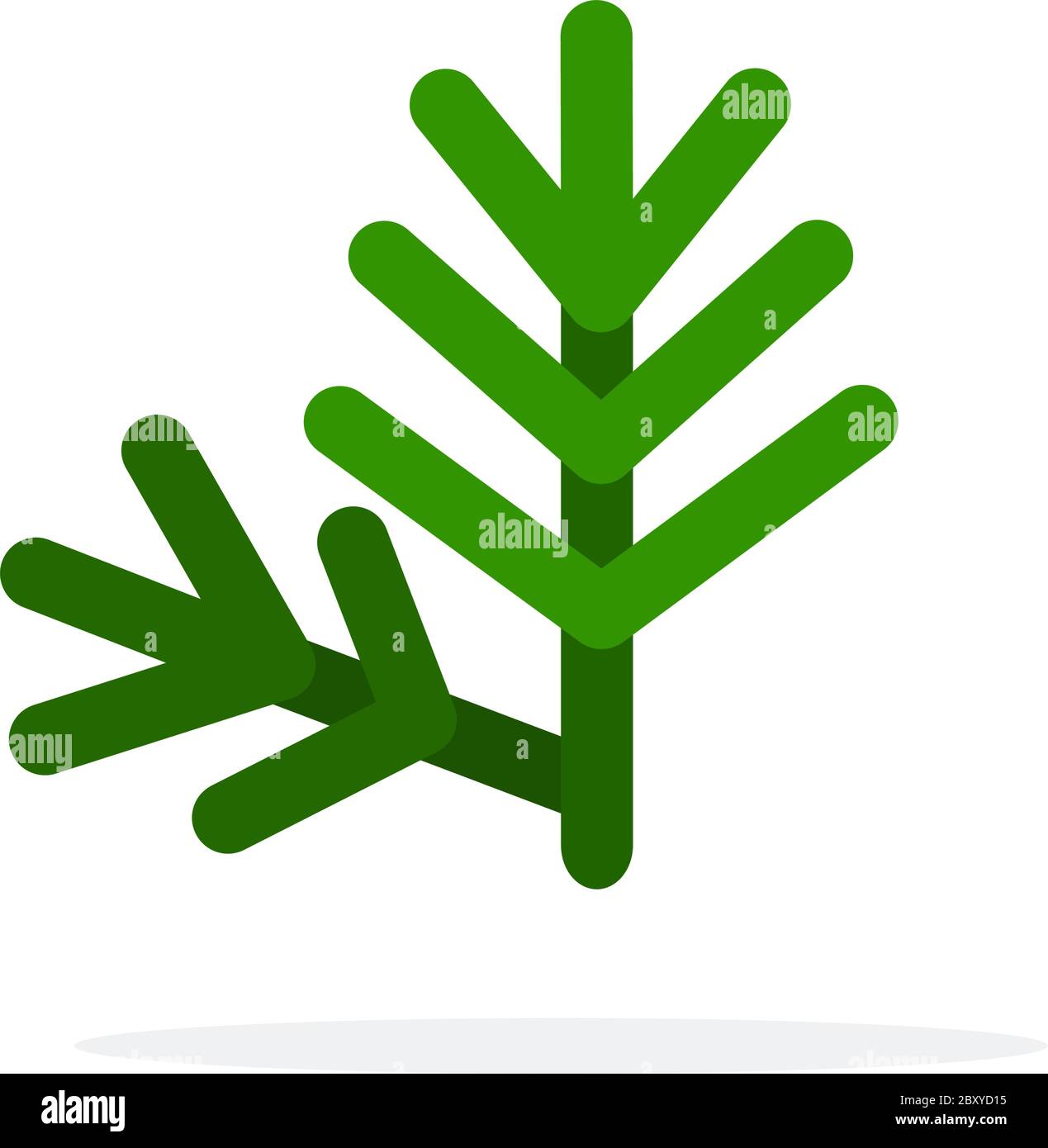 Fresh organic dill background Stock Vector Images - Alamy