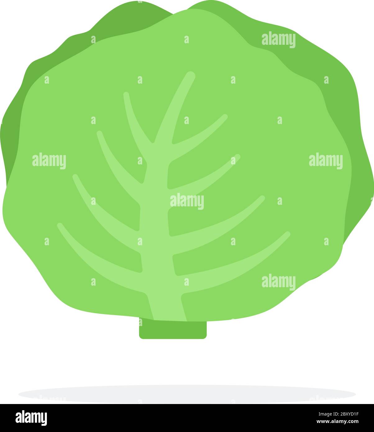 Green raw vegetable salad Stock Vector Images - Alamy