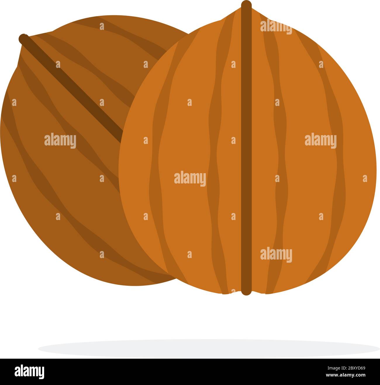 Walnuts in shell Stock Vector Images - Alamy