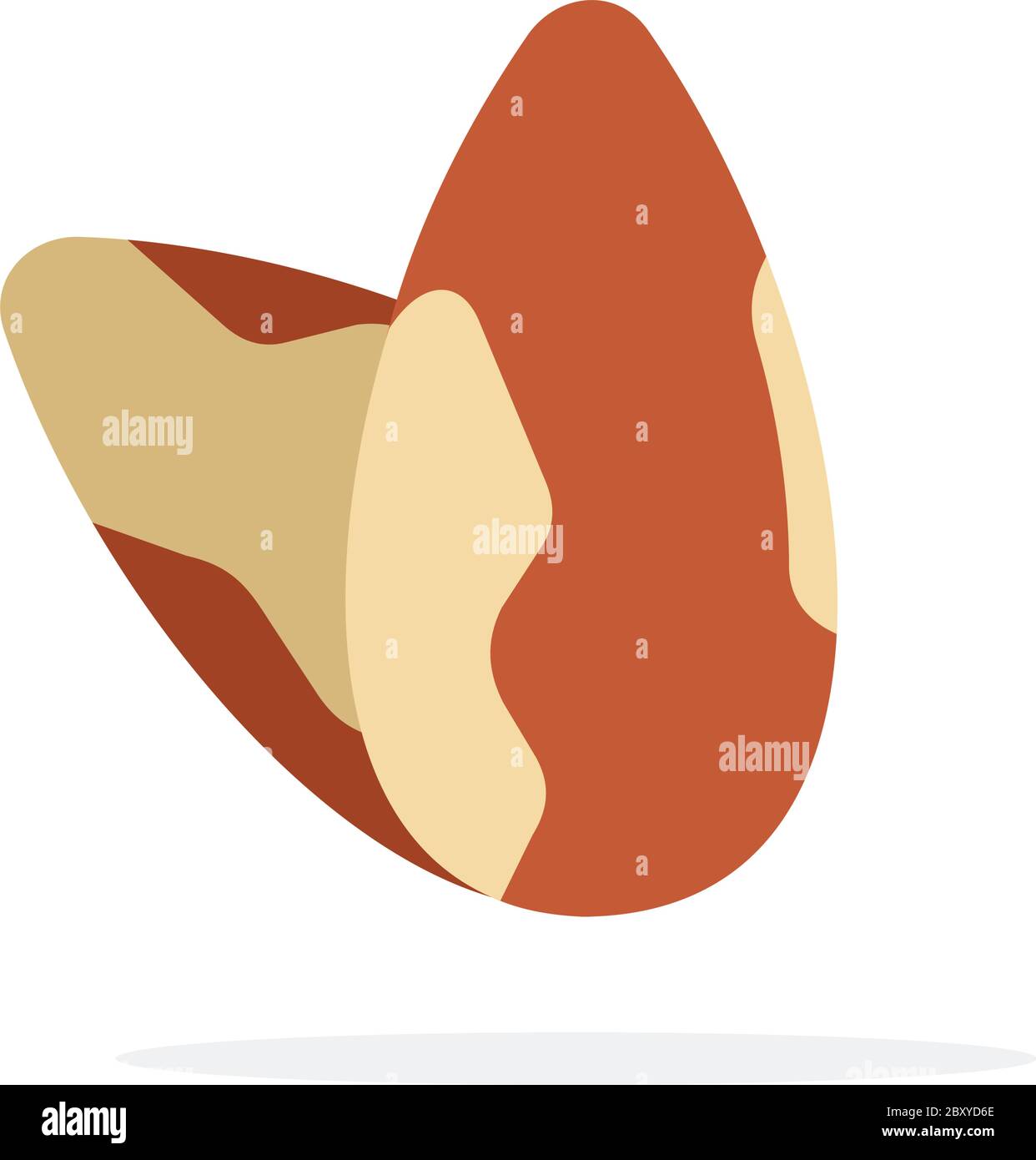 Brazil nut nuts Stock Vector Images - Alamy