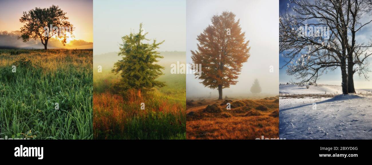 4 seasons collage hi-res stock photography and images - Alamy