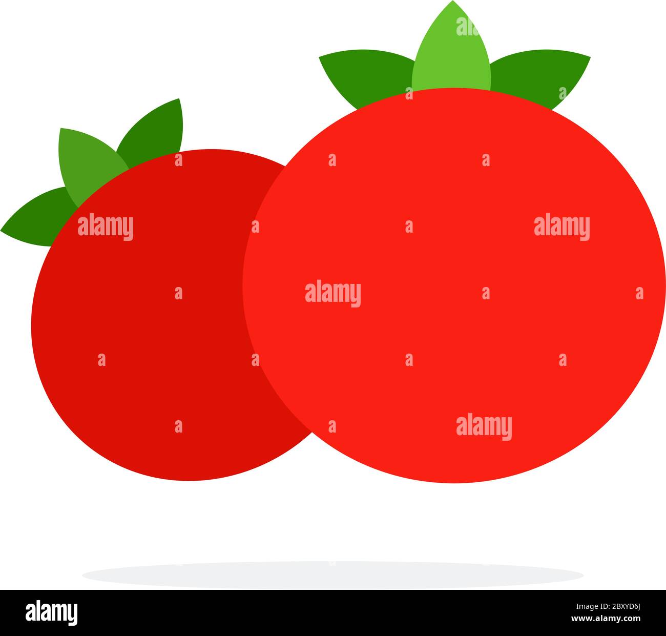 Macro front view white Stock Vector Images - Alamy