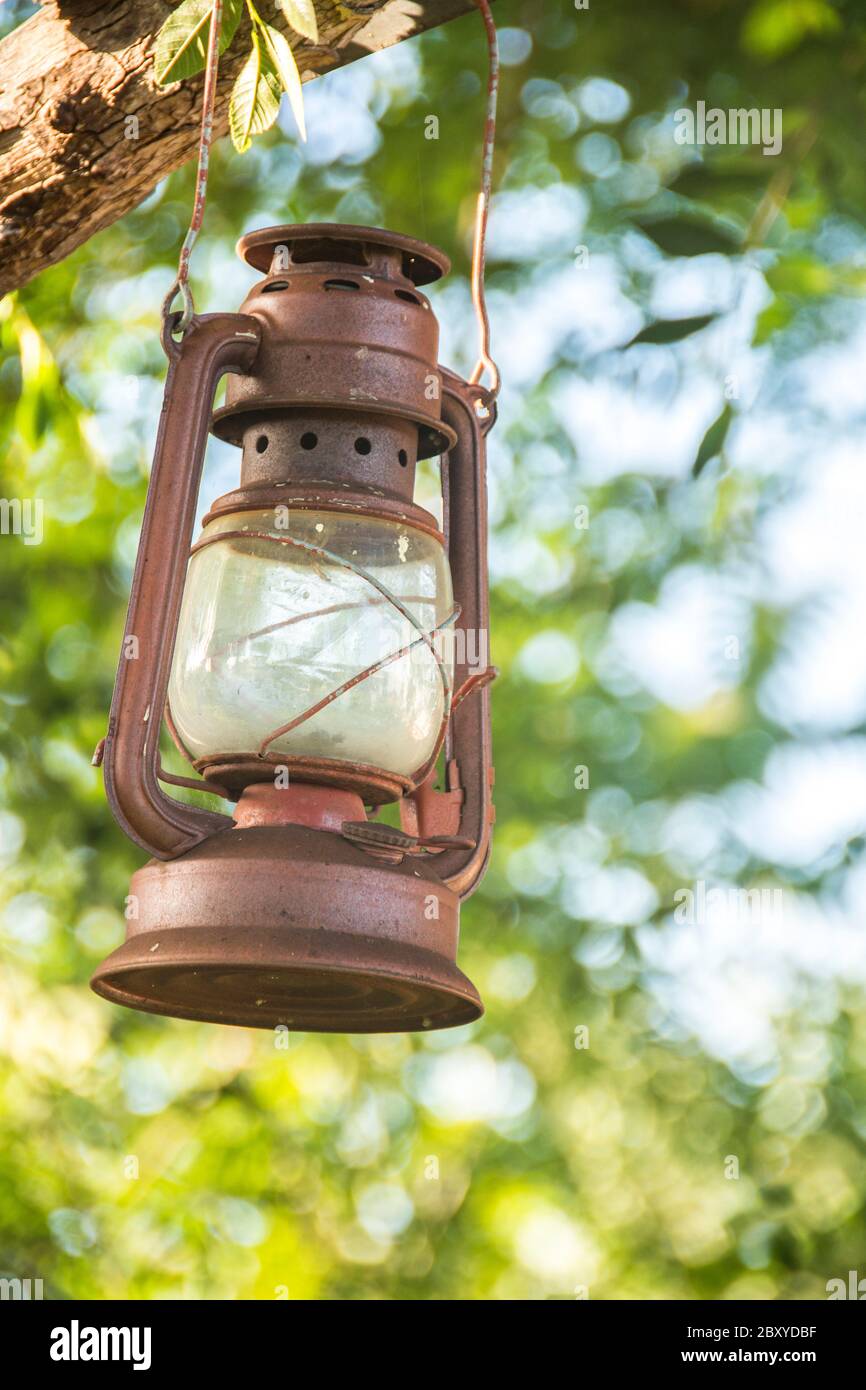 An old, vintage gas lantern hanging from a tree limb Stock Photo - Alamy