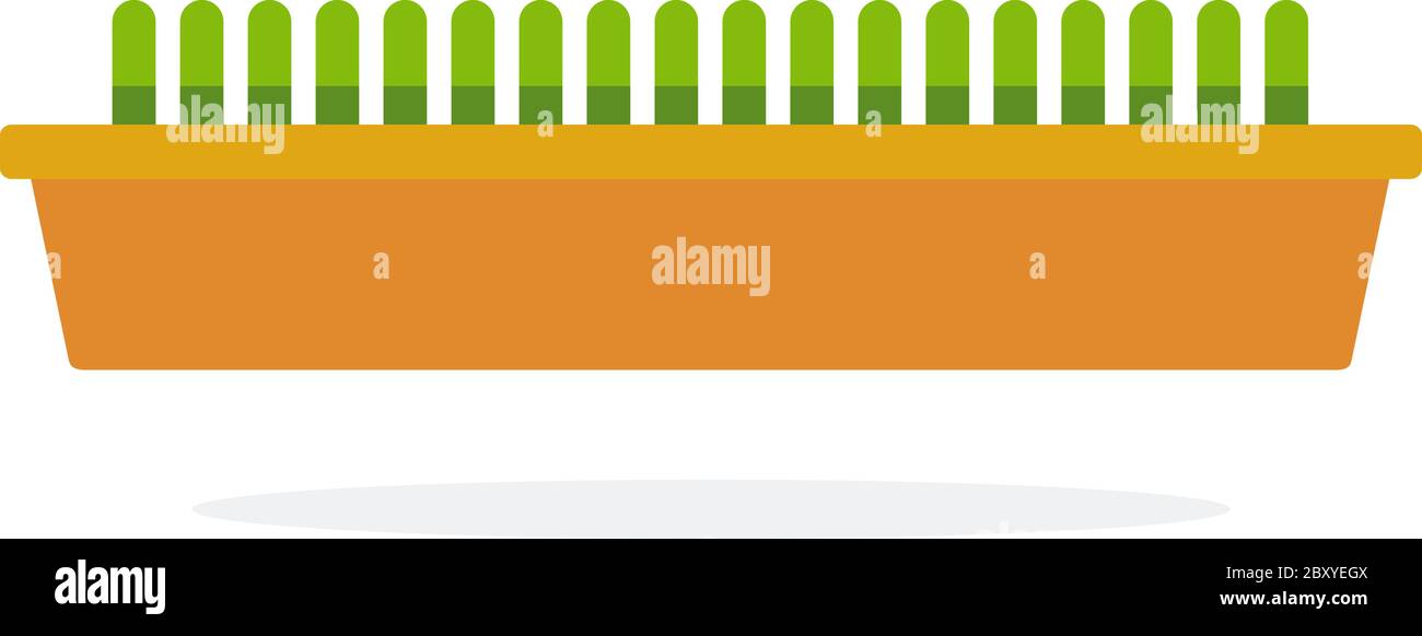 Long leaves of flowers Stock Vector Images - Alamy