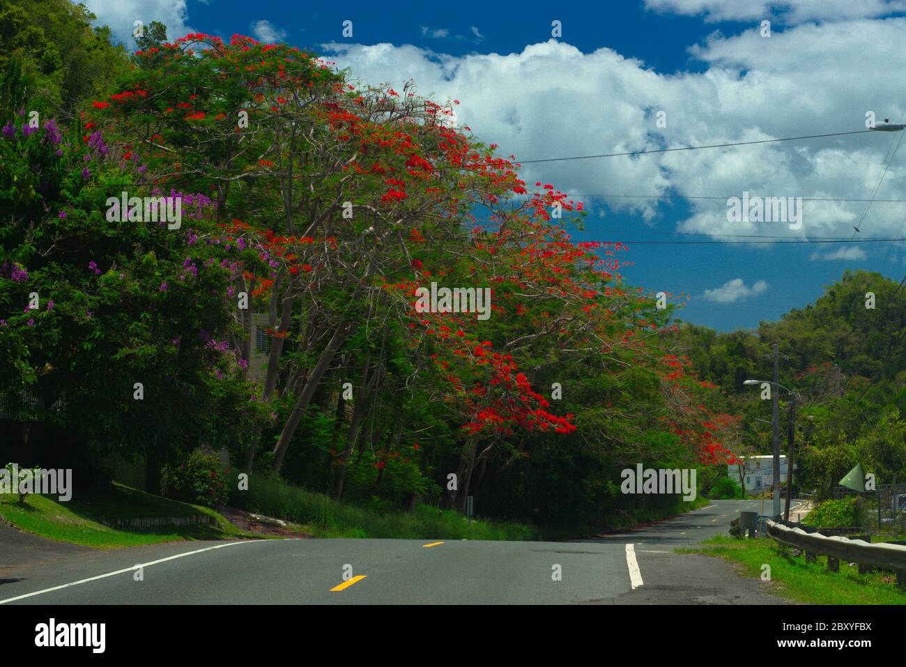 Beautiful Puerto Rico Stock Photo - Alamy