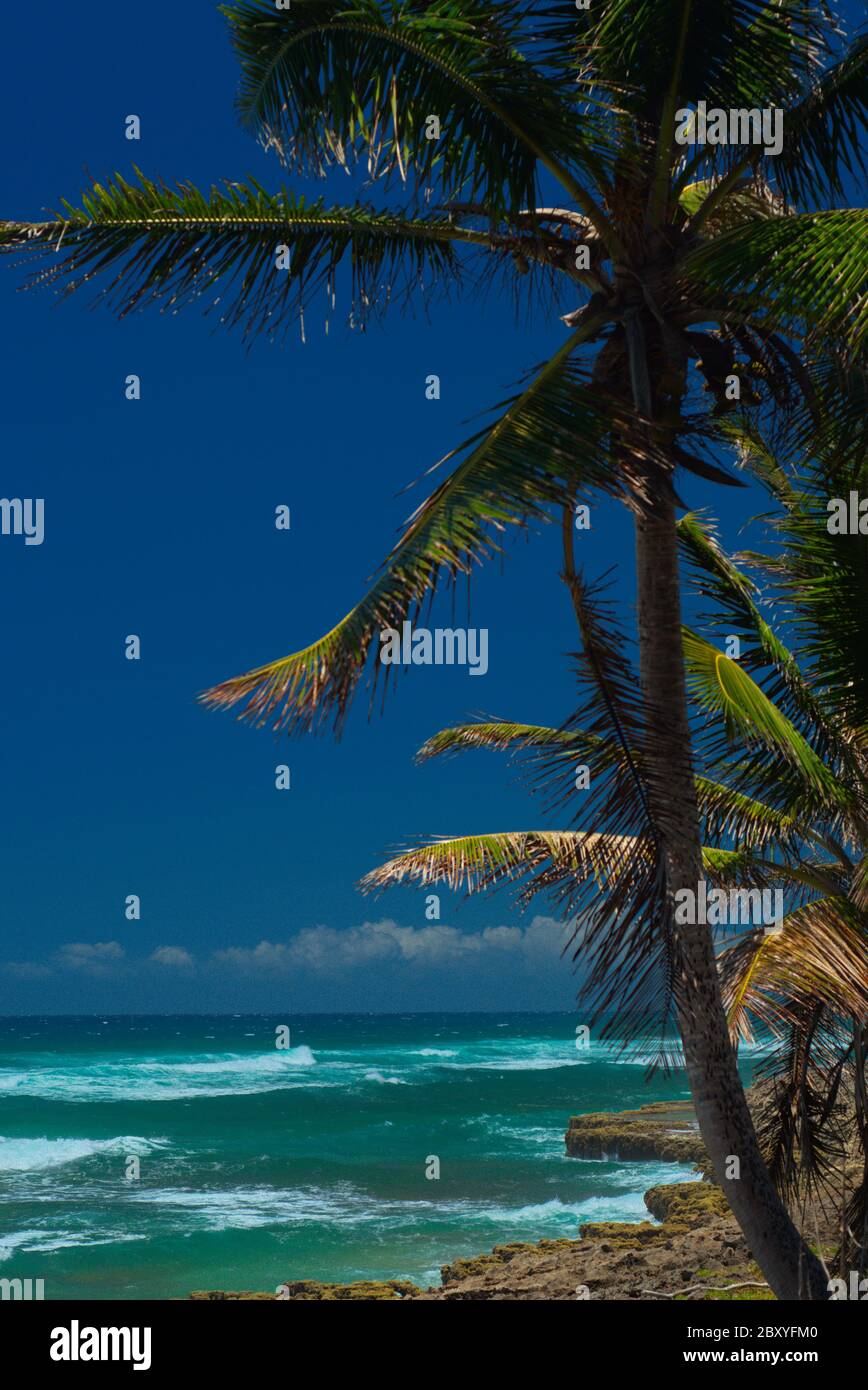 Beautiful Puerto Rico Stock Photo - Alamy
