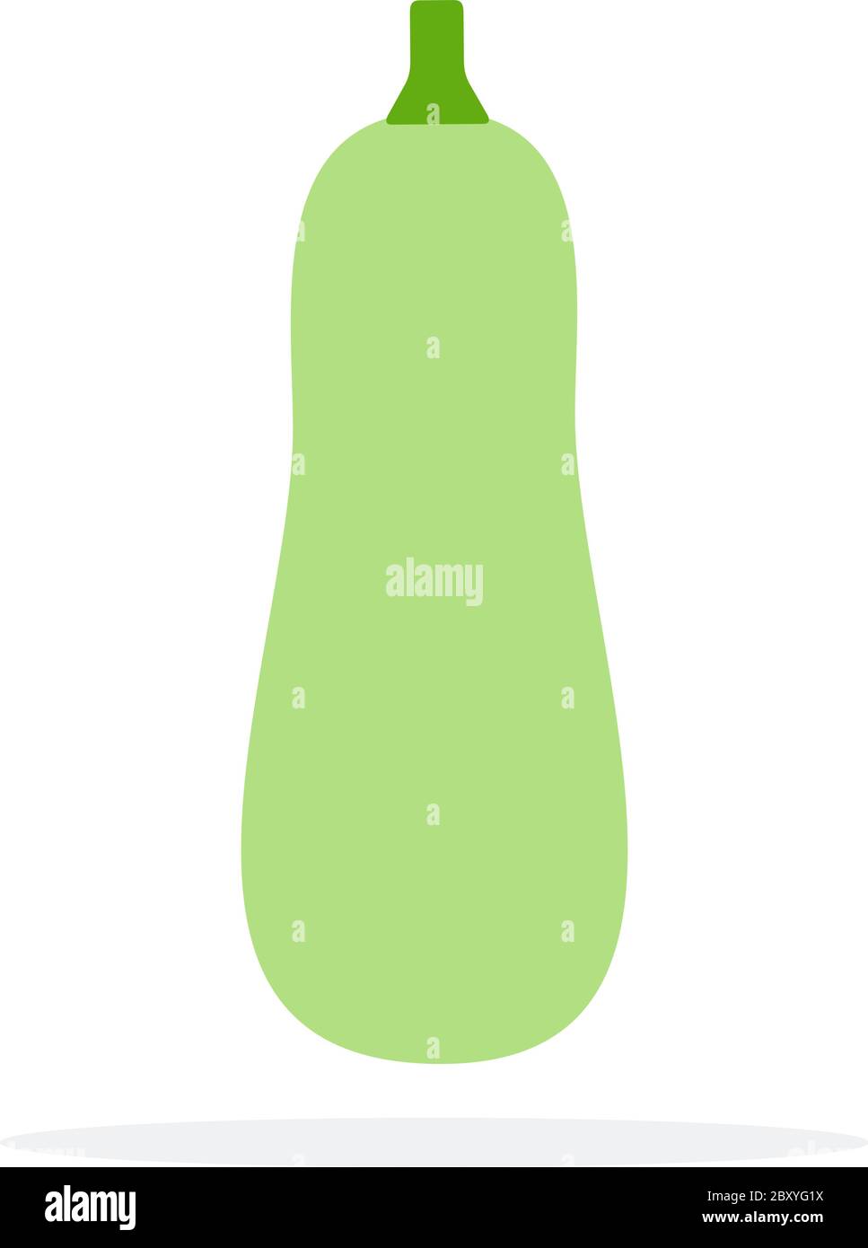 Upo Vegetable Clipart