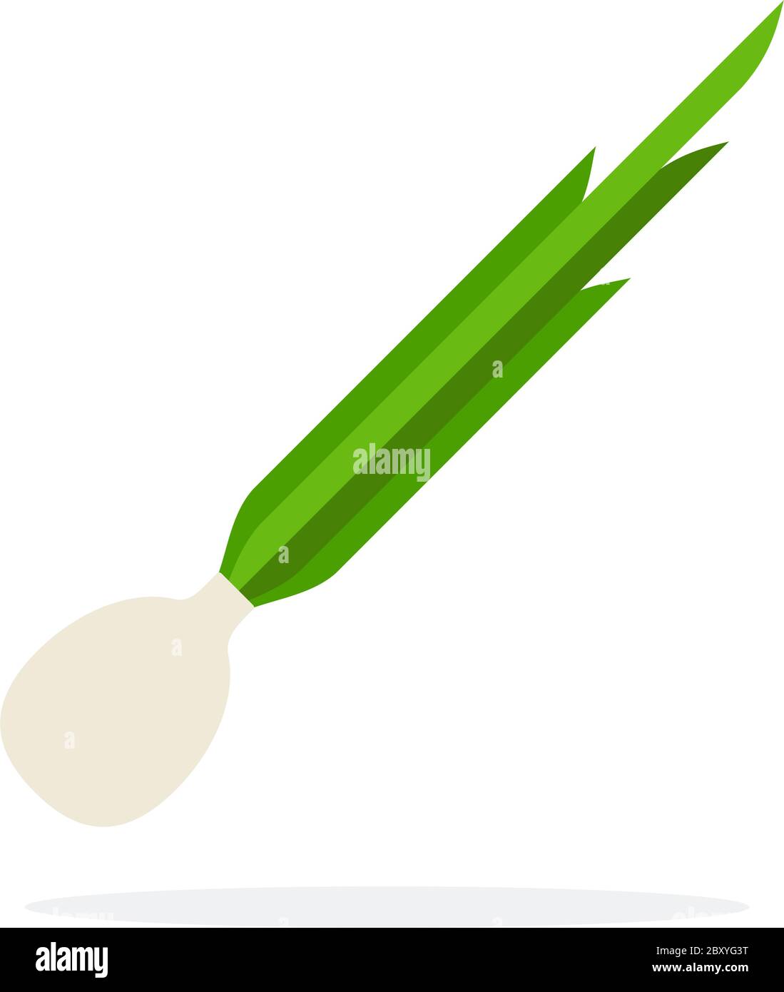 Sprouts closeup Stock Vector Images - Alamy