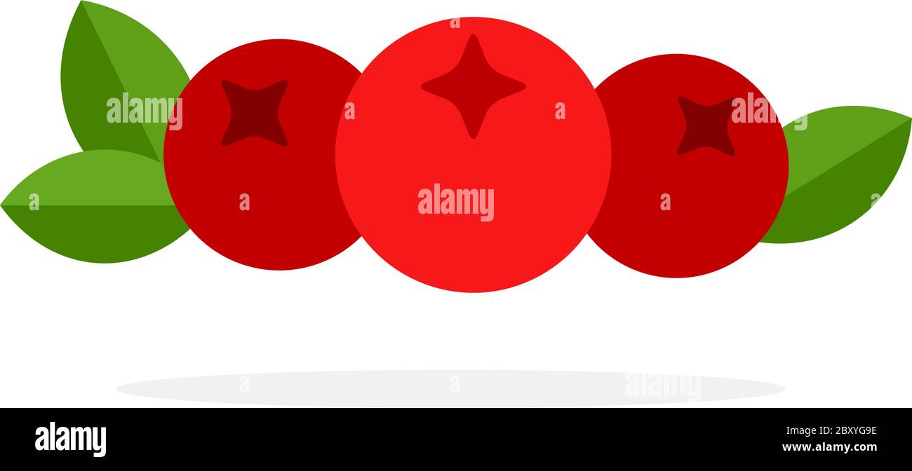 Bright red bunch berries Stock Vector Images - Alamy