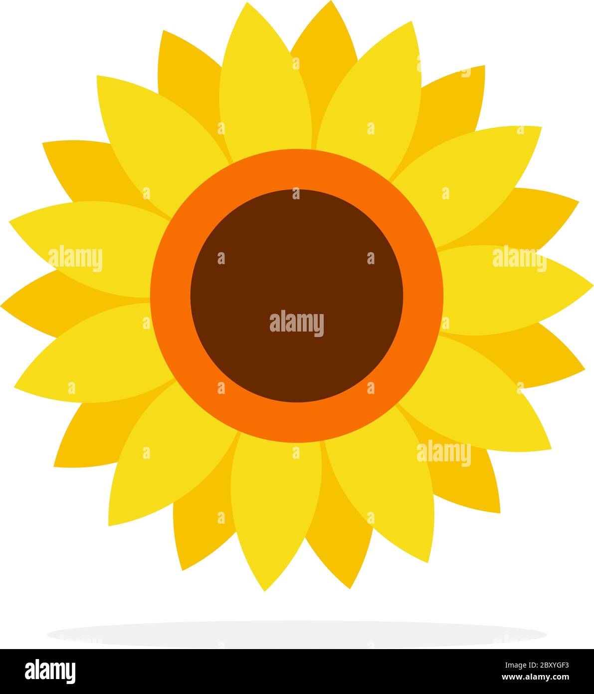 Common sun flower Stock Vector Images - Alamy