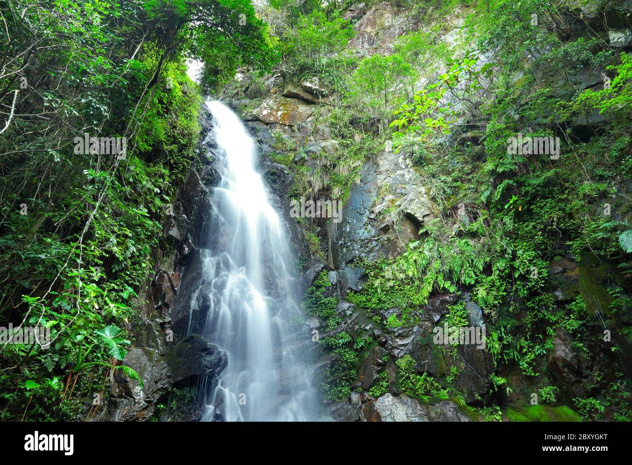 Waterfall splashing in emerald hi-res stock photography and images - Alamy