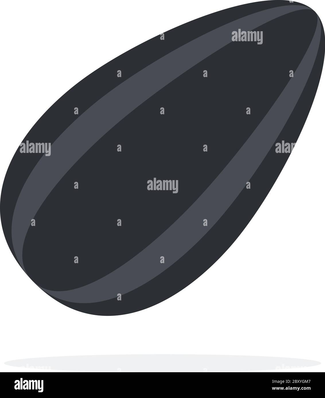 One sunflower seed Stock Vector Image & Art - Alamy