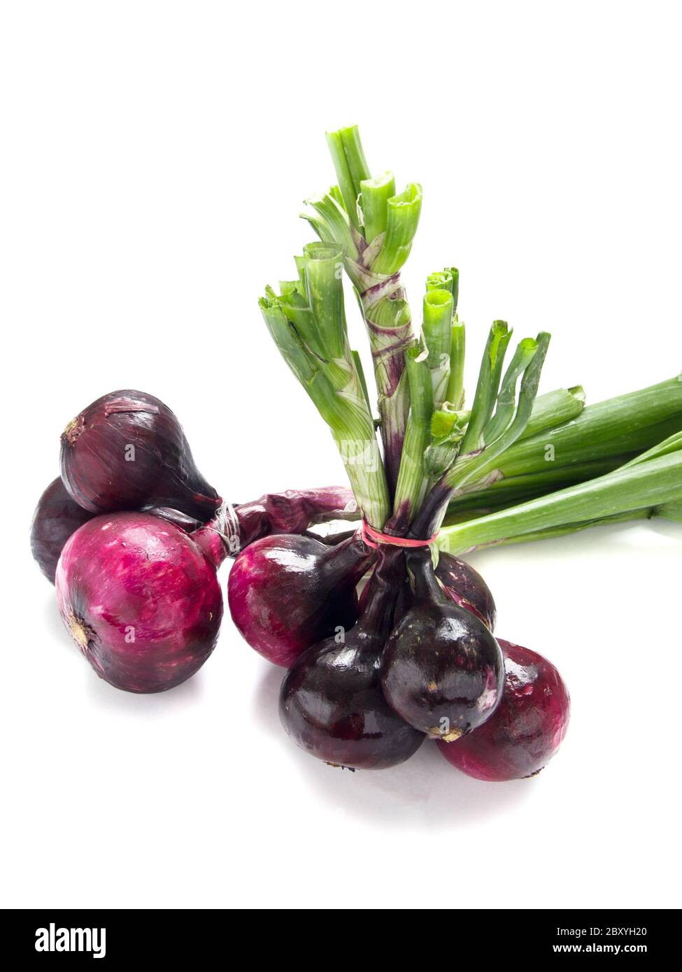 fresh red onions Stock Photo - Alamy