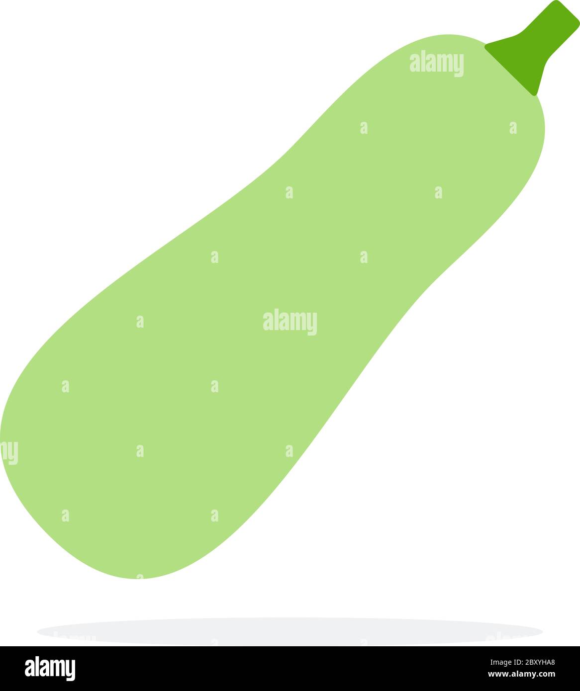 Green zucchini vector flat isolated Stock Vector Image & Art - Alamy