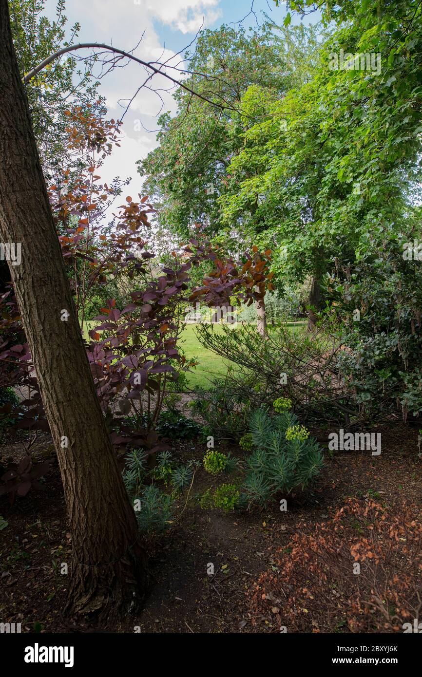Hereford Square garden; a small private communal garden in Kensington ...