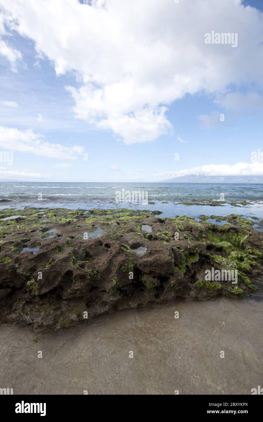 reef in the ocean on low tide Stock Photo - Alamy