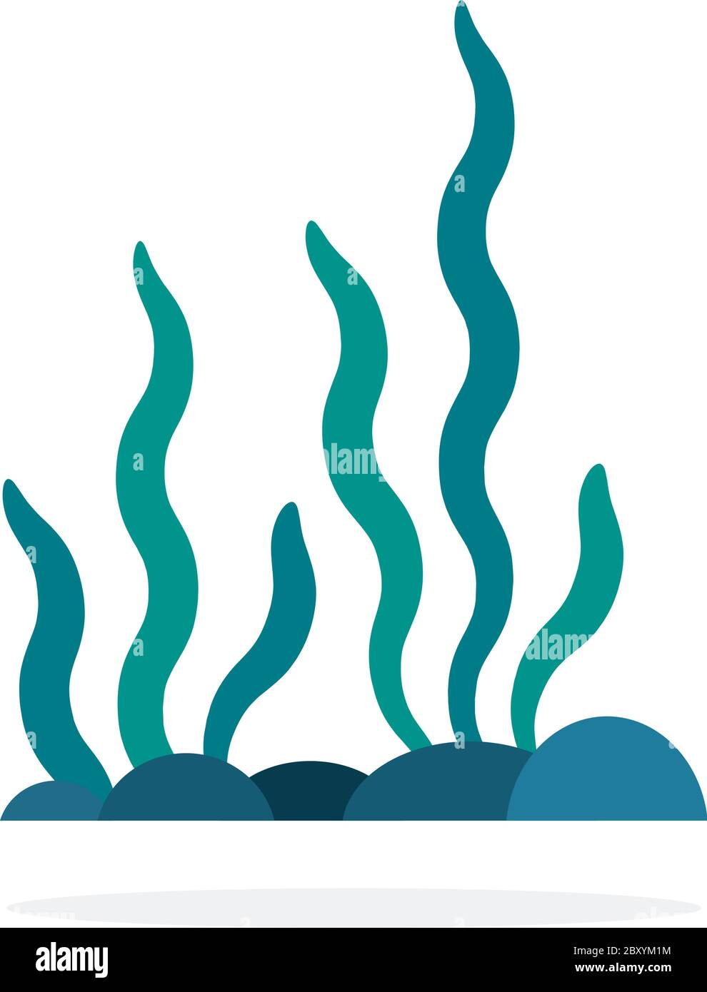 Natural organic spirulina algae Stock Vector Images - Alamy