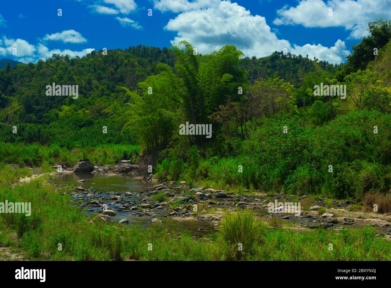 Beautiful Puerto Rico Stock Photo - Alamy