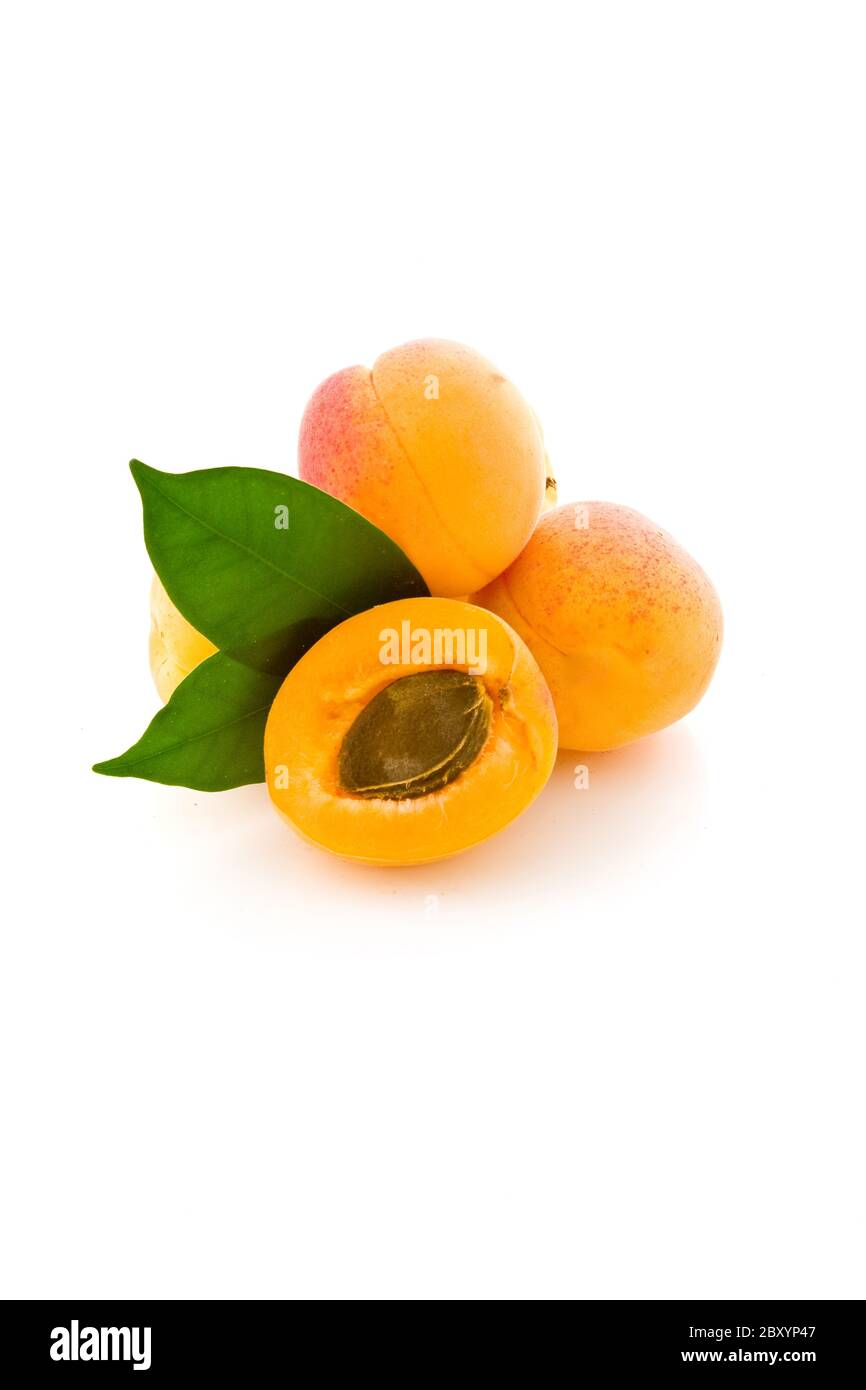 Apricot on white background Stock Photo - Alamy