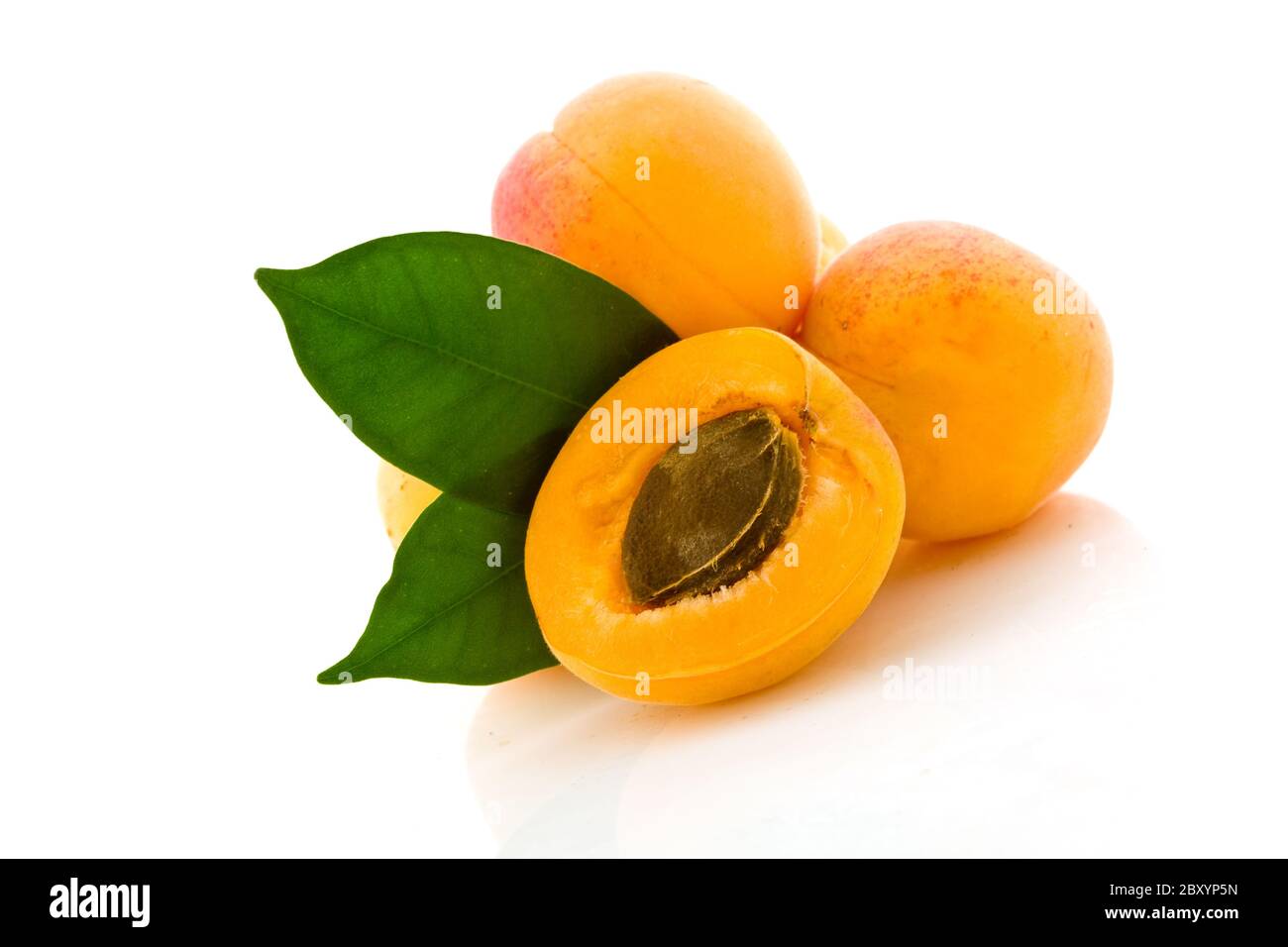 Apricot on white background Stock Photo - Alamy