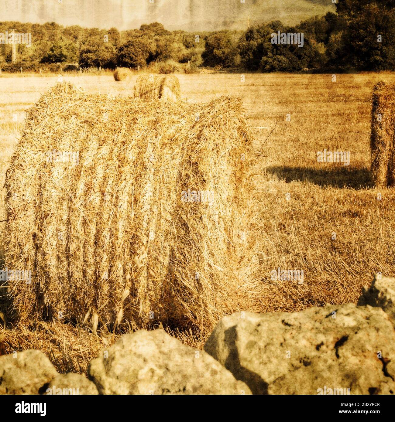 Corn bales hi-res stock photography and images - Alamy