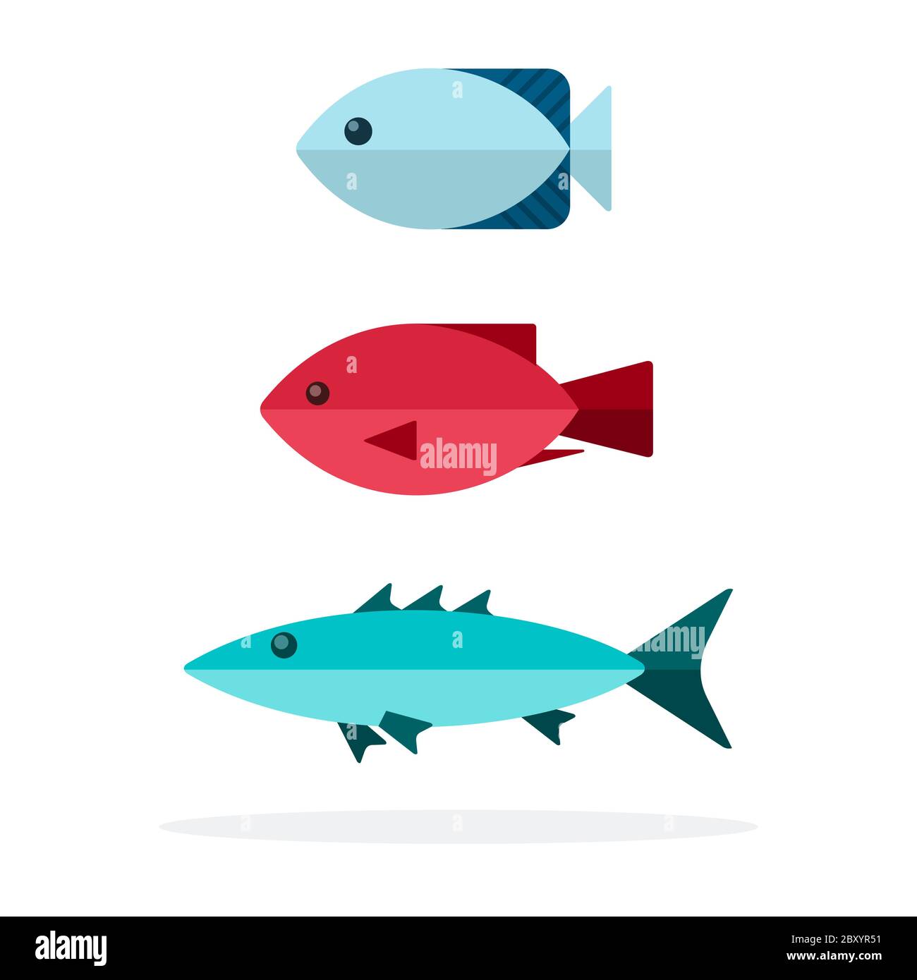 Different fish species Cut Out Stock Images & Pictures - Alamy