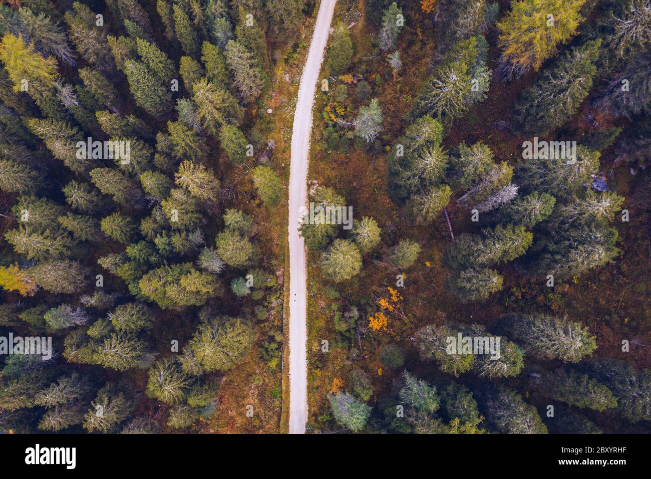 Scenic aerial view of a winding trekking path in a forest. Trekking ...