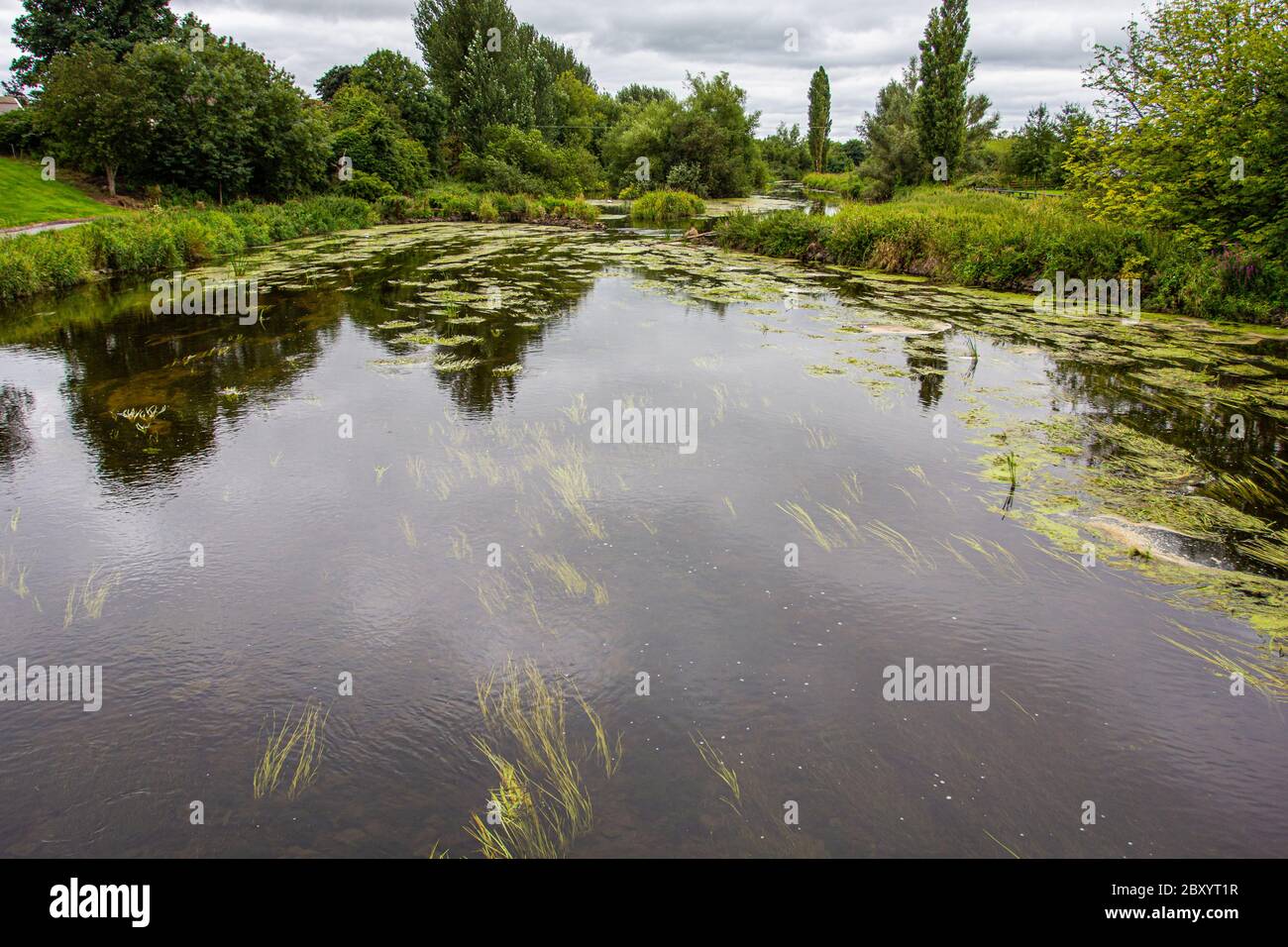 The river suir flows down through the golden vale in Holycross, Co ...