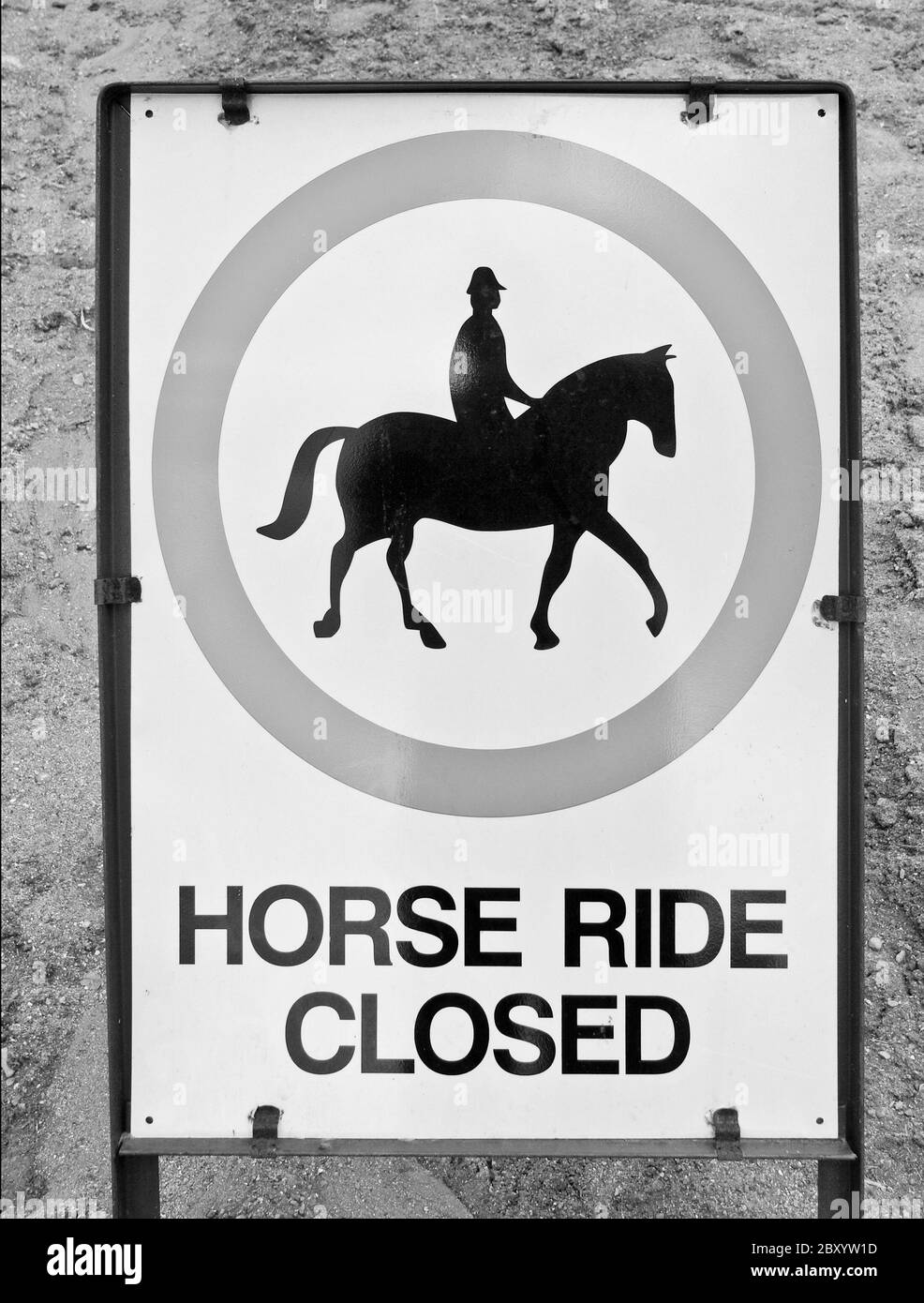 Horse warning sign Black and White Stock Photos & Images - Alamy