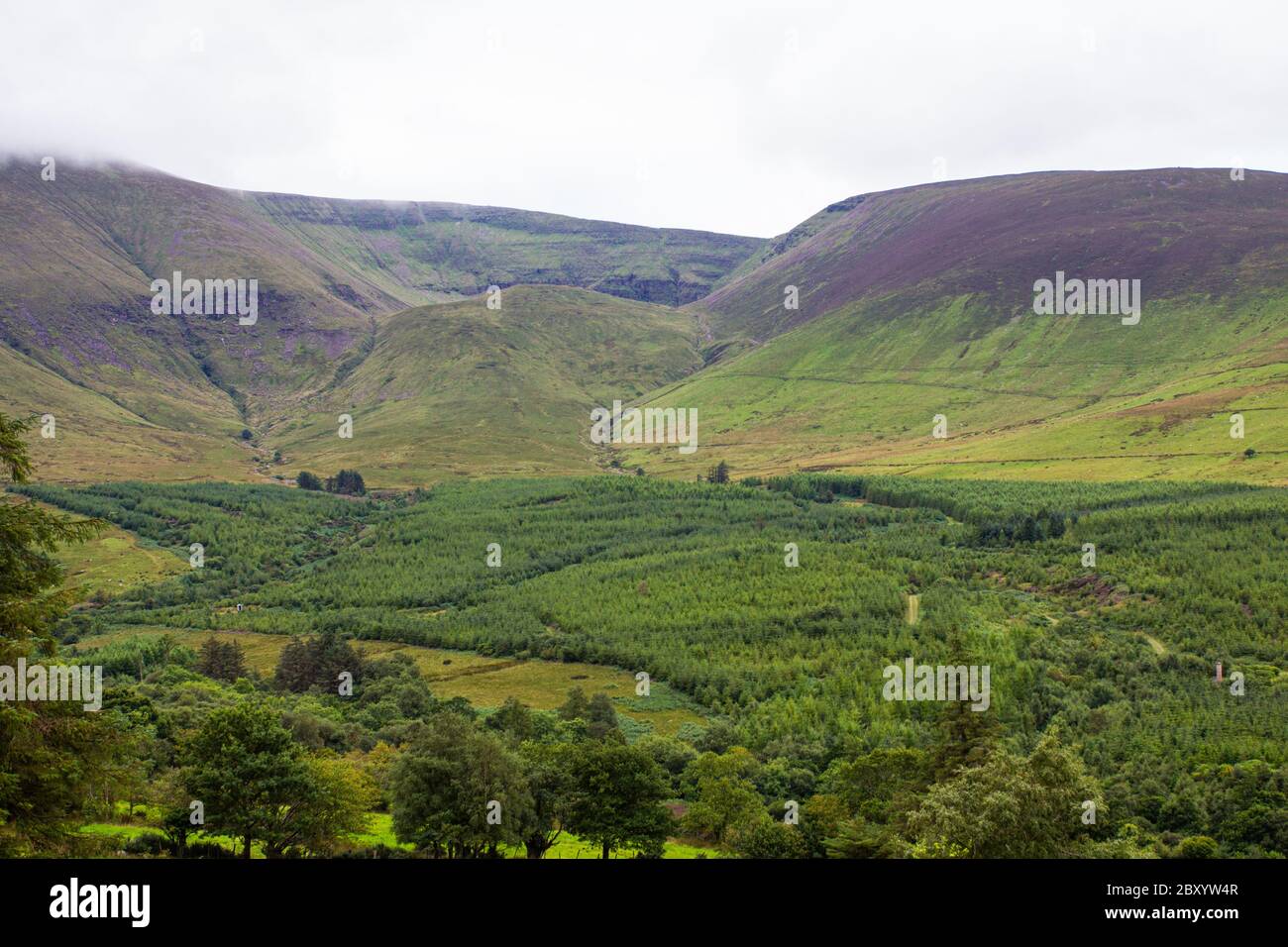The Galtee Mountains Co Tipperary Ireland Stock Photo - Alamy
