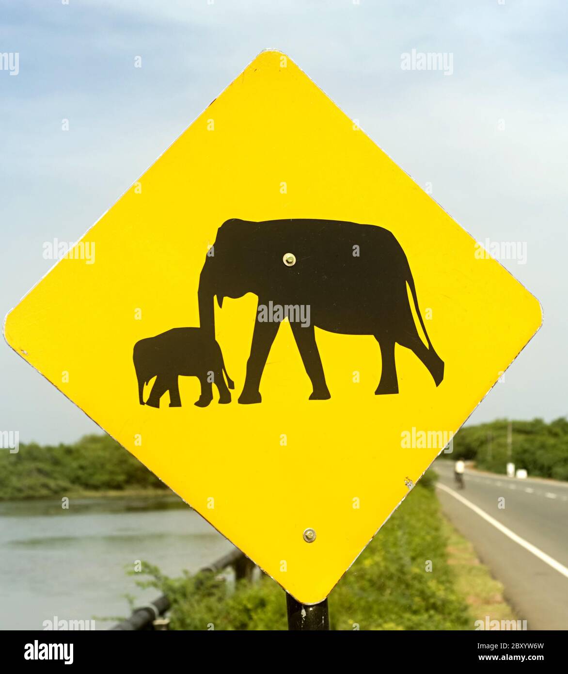 Elephant Warning Sign High Resolution Stock Photography and Images - Alamy
