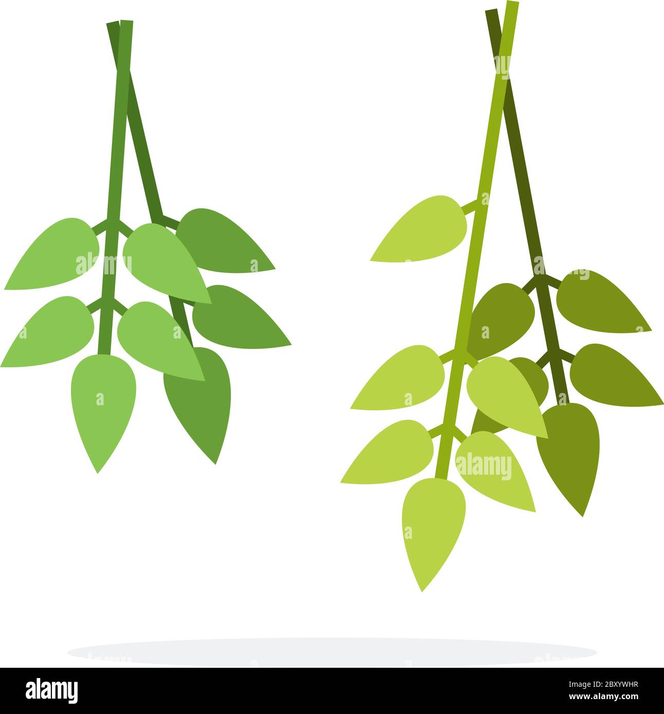 Green bay botanical garden Cut Out Stock Images & Pictures - Alamy