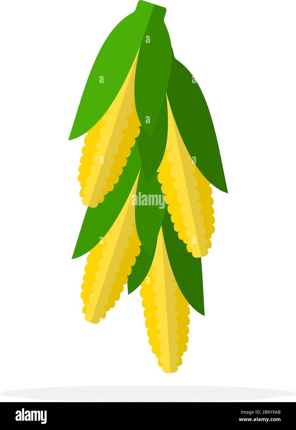 Hanging corn Stock Vector Images - Alamy