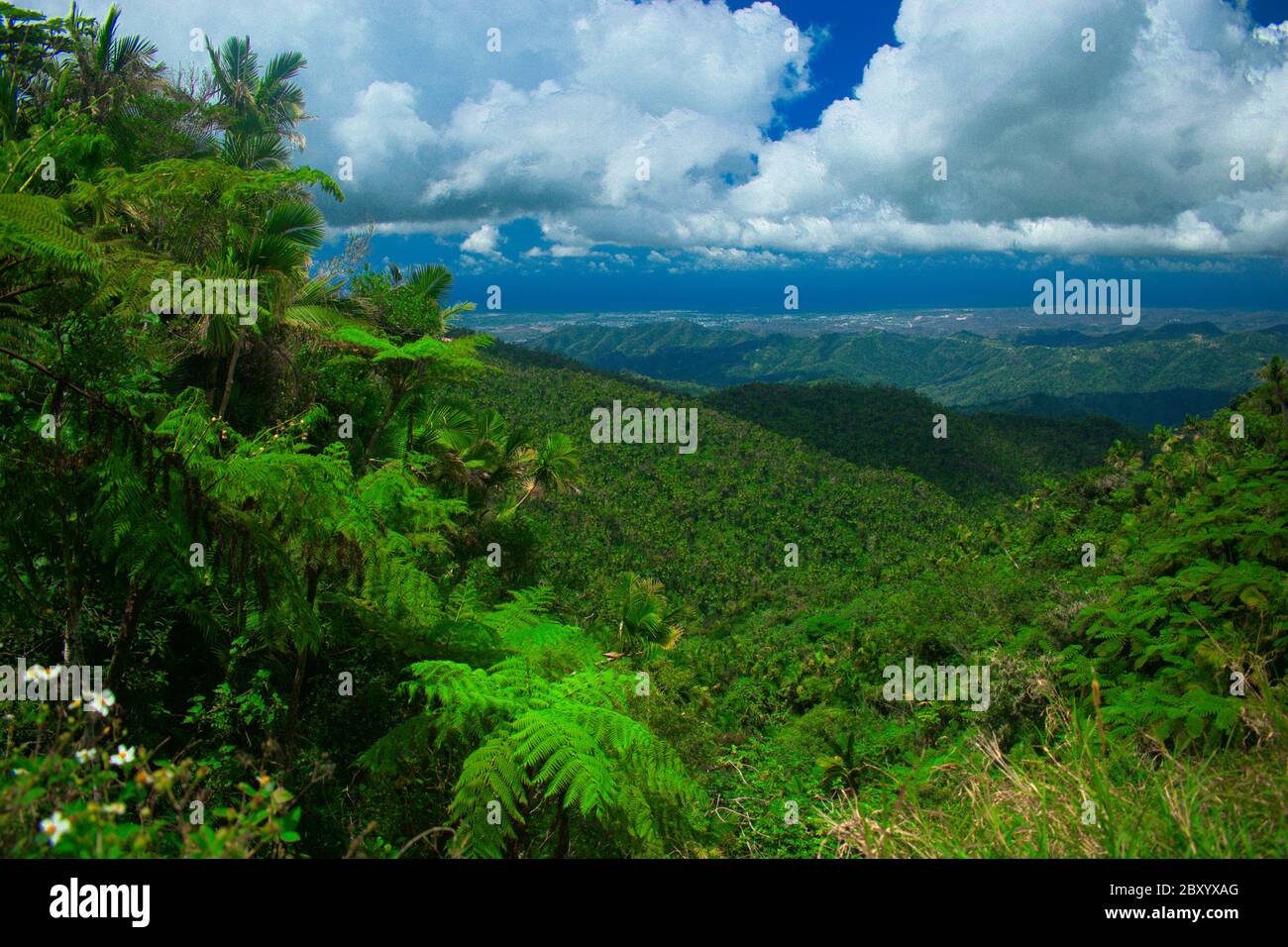 Puerto rico green hi-res stock photography and images - Alamy