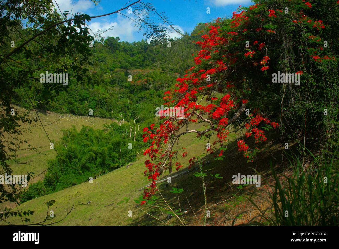 Maravilla del campo hi-res stock photography and images - Alamy