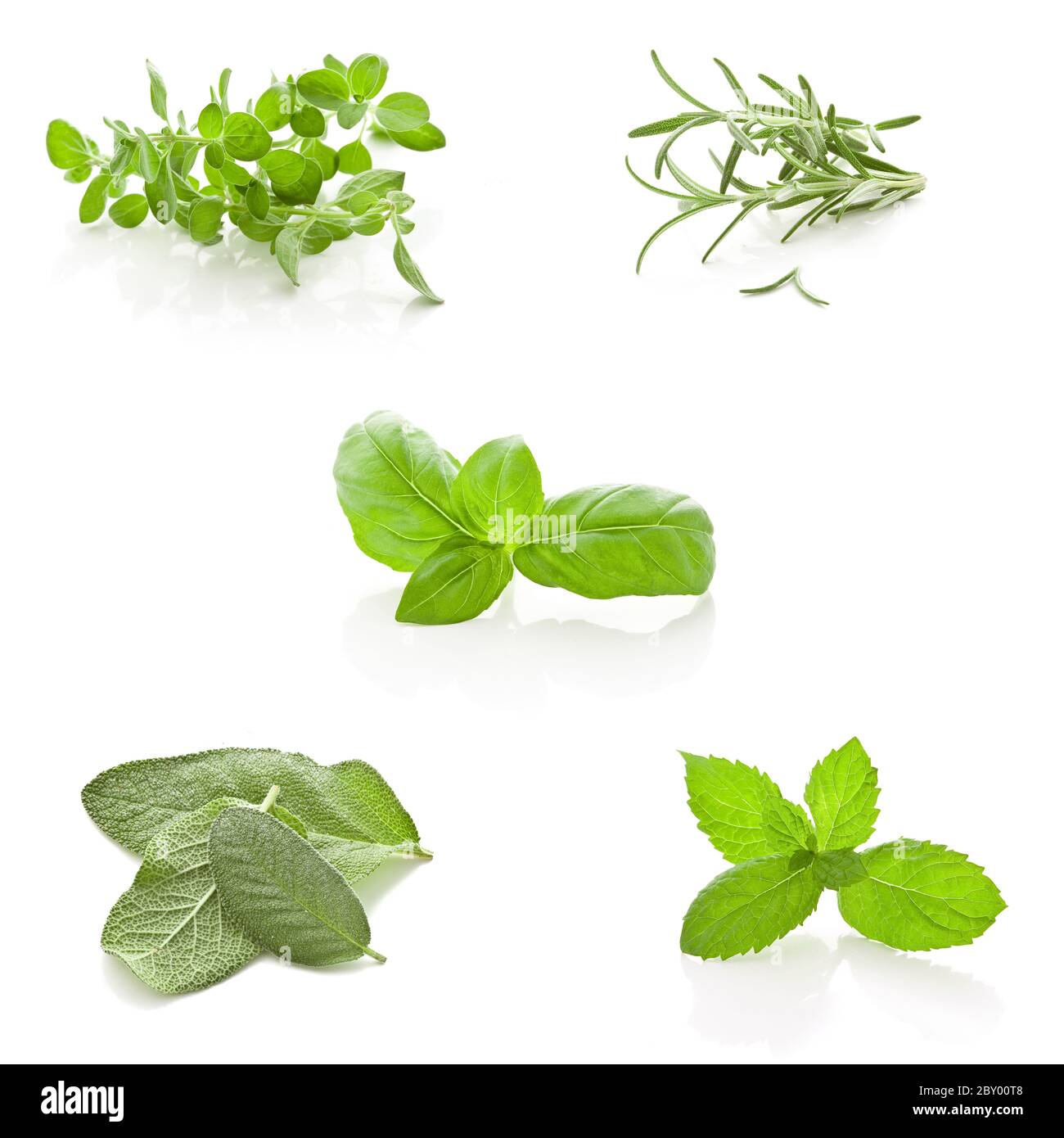Herbs Collage on white background Stock Photo - Alamy