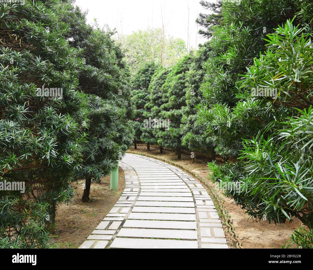 path in country side Stock Photo - Alamy
