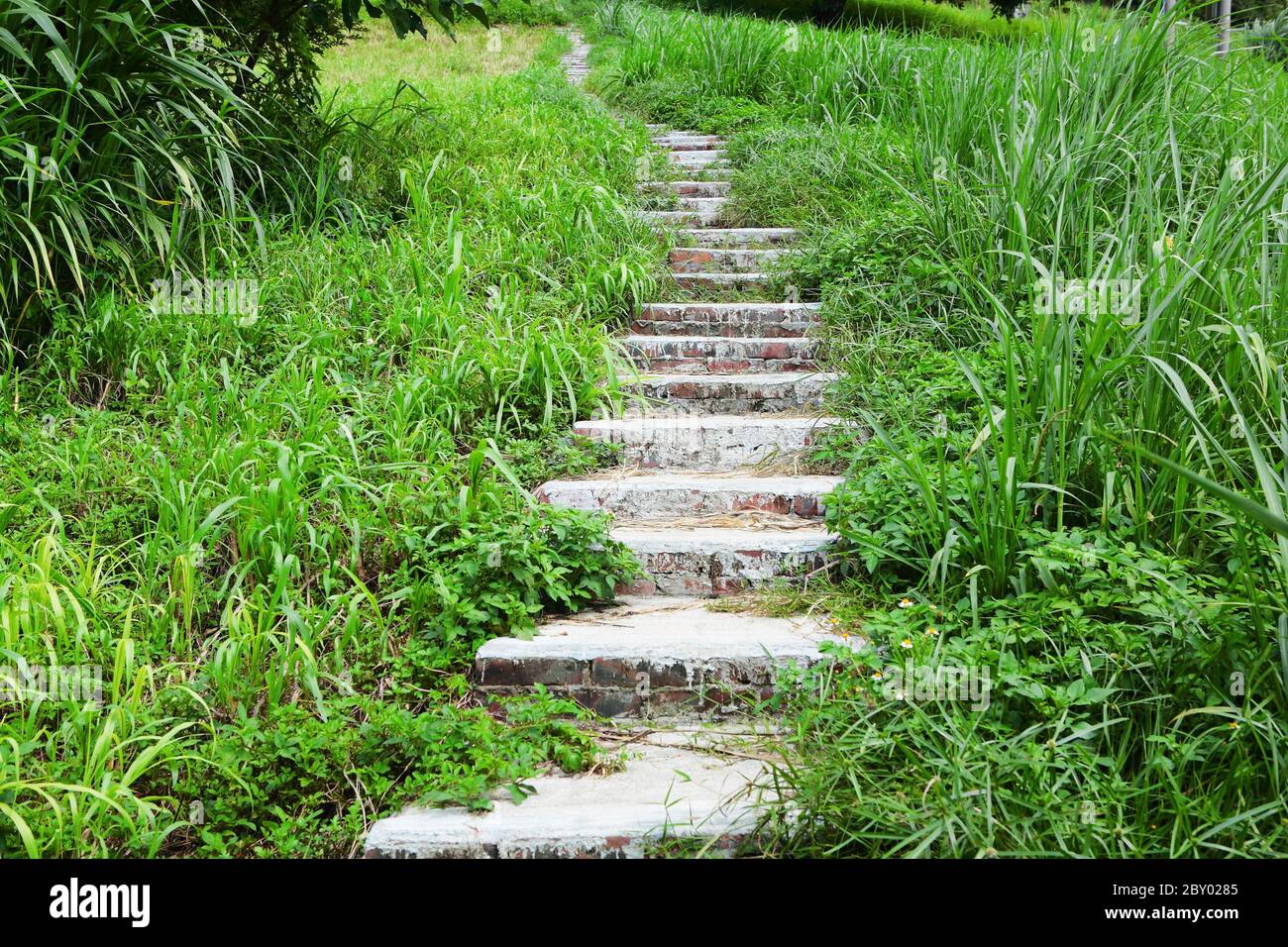 path in country side Stock Photo - Alamy