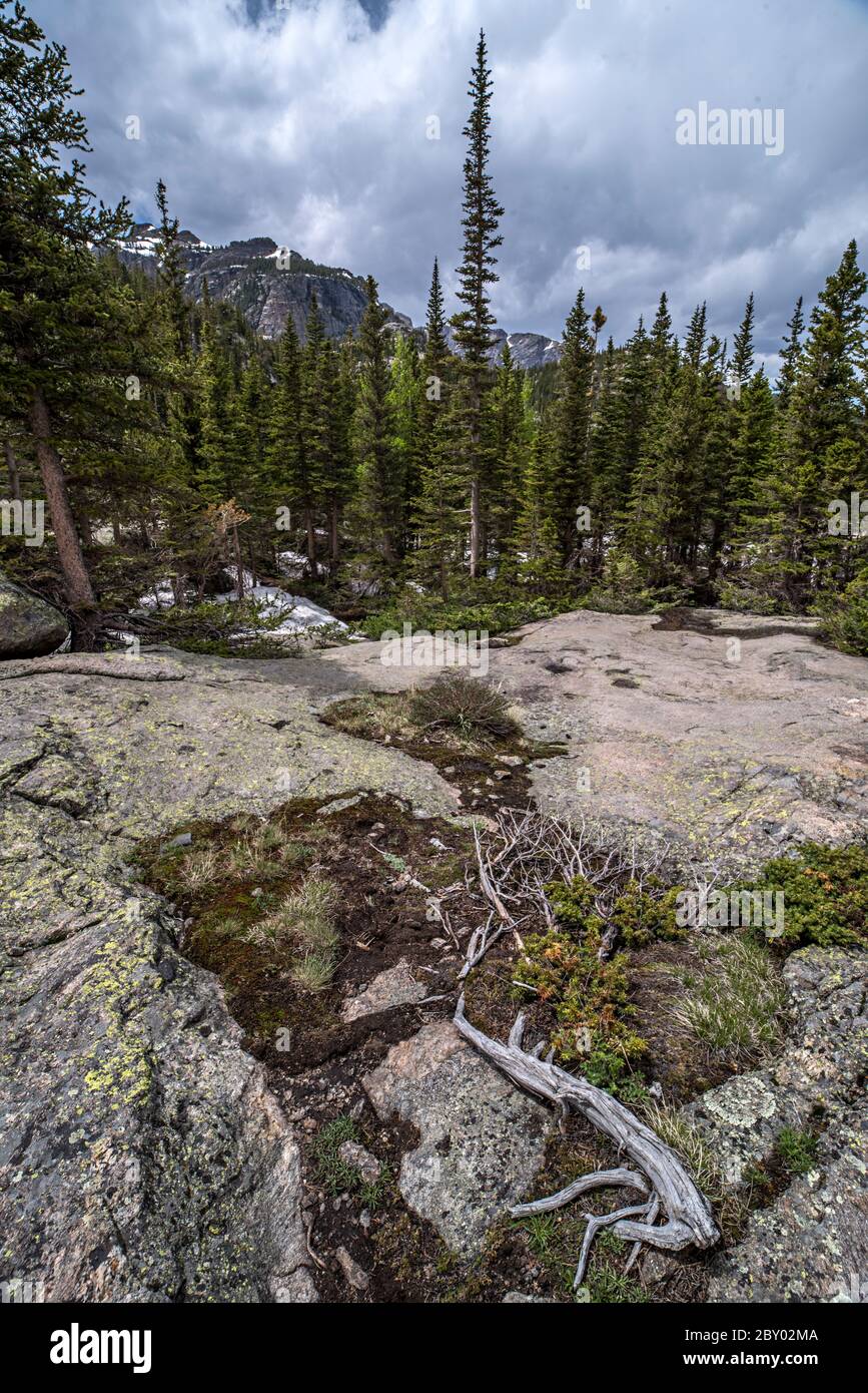 Trail Conditions on the Glacier Gorge Trail in Rocky mountain National ...