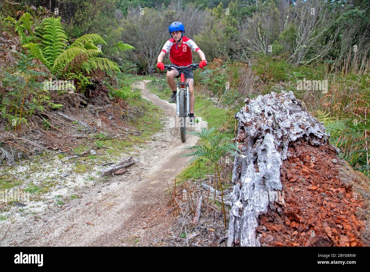 Boy cycling on Atlas trail at Derby Stock Photo - Alamy