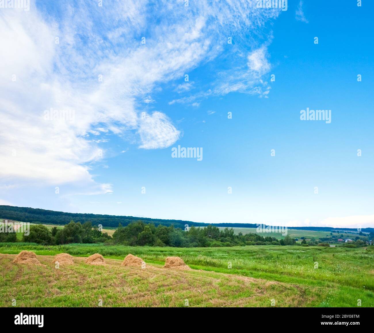 Summer fields with haystacks Stock Photo - Alamy